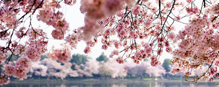 A time for confidence - we have been here before